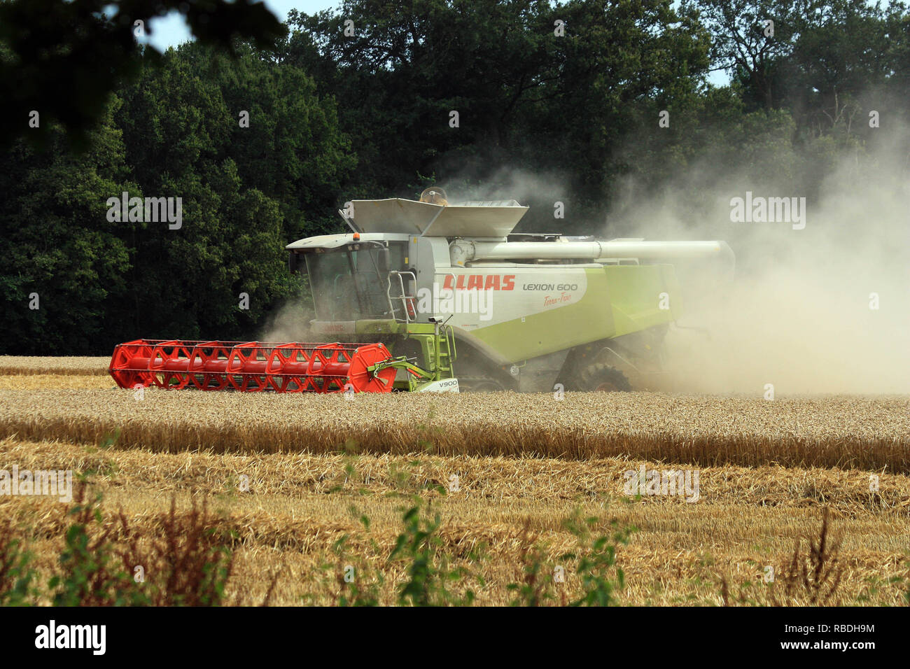 Claas combine harvester hi-res stock photography and images - Alamy