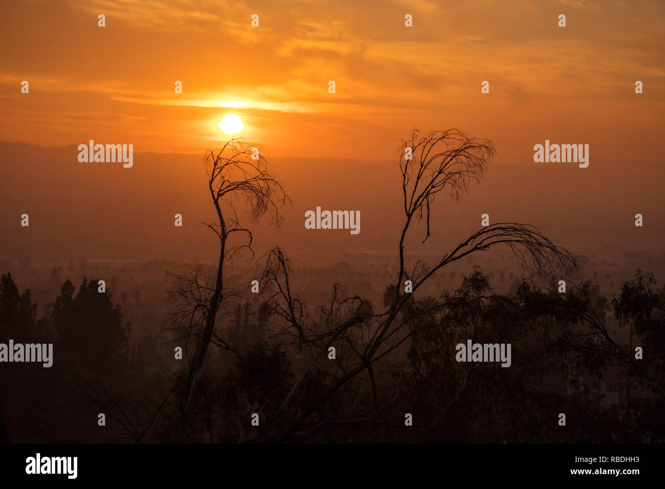 Sunset through branches Stock Photo - Alamy