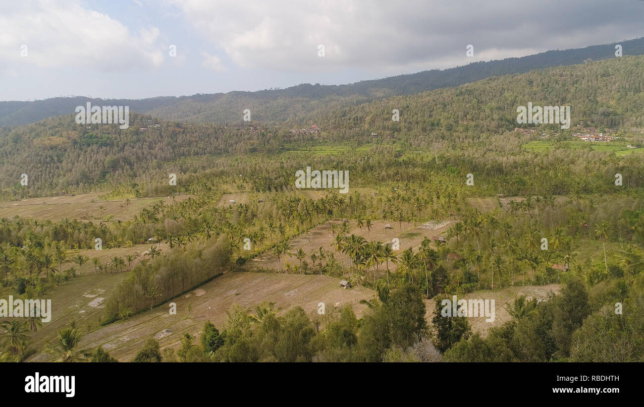 rural landscape mountains with farmlands, village, fields with crops ...