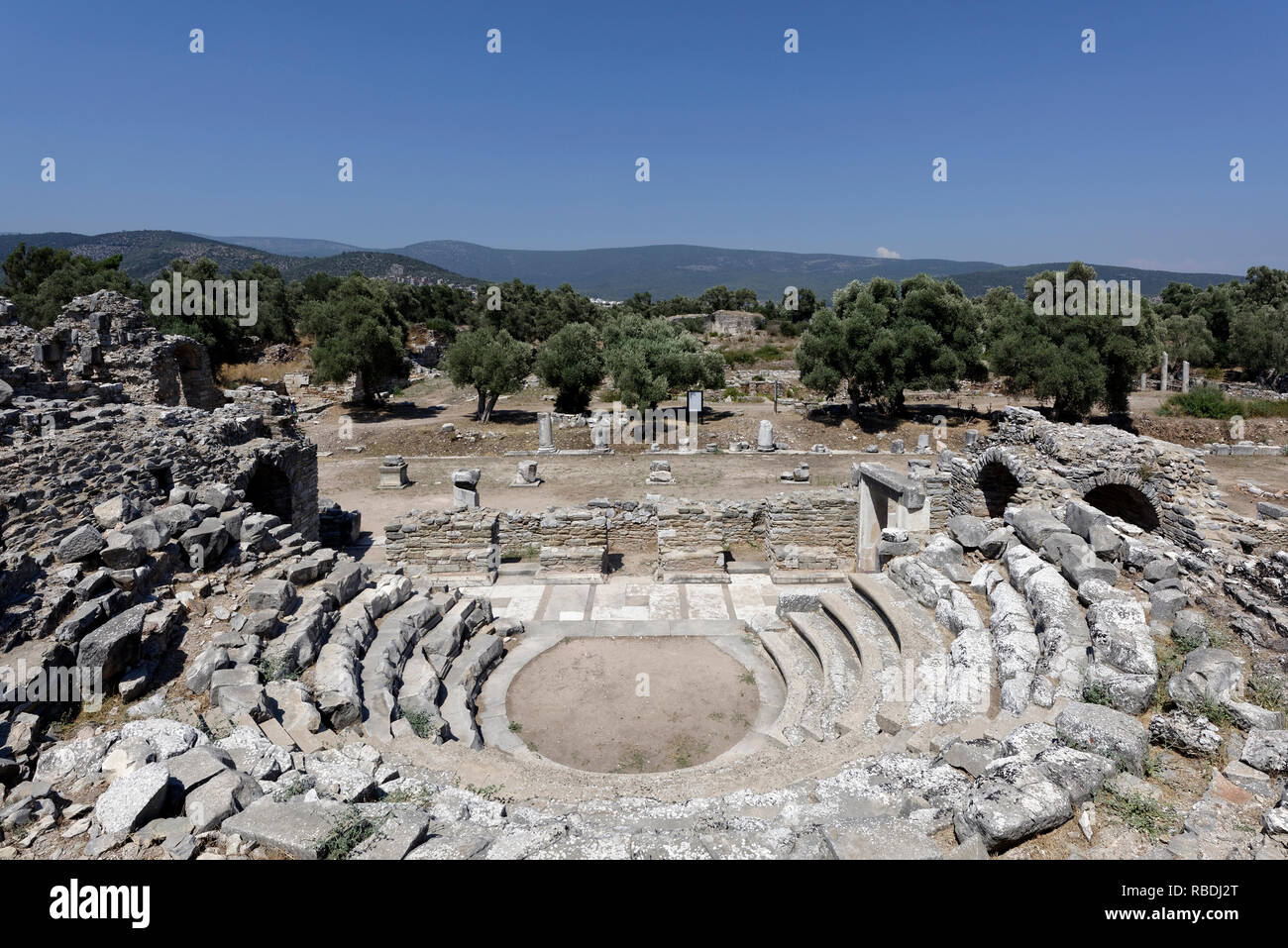 Boule Ancient Greece