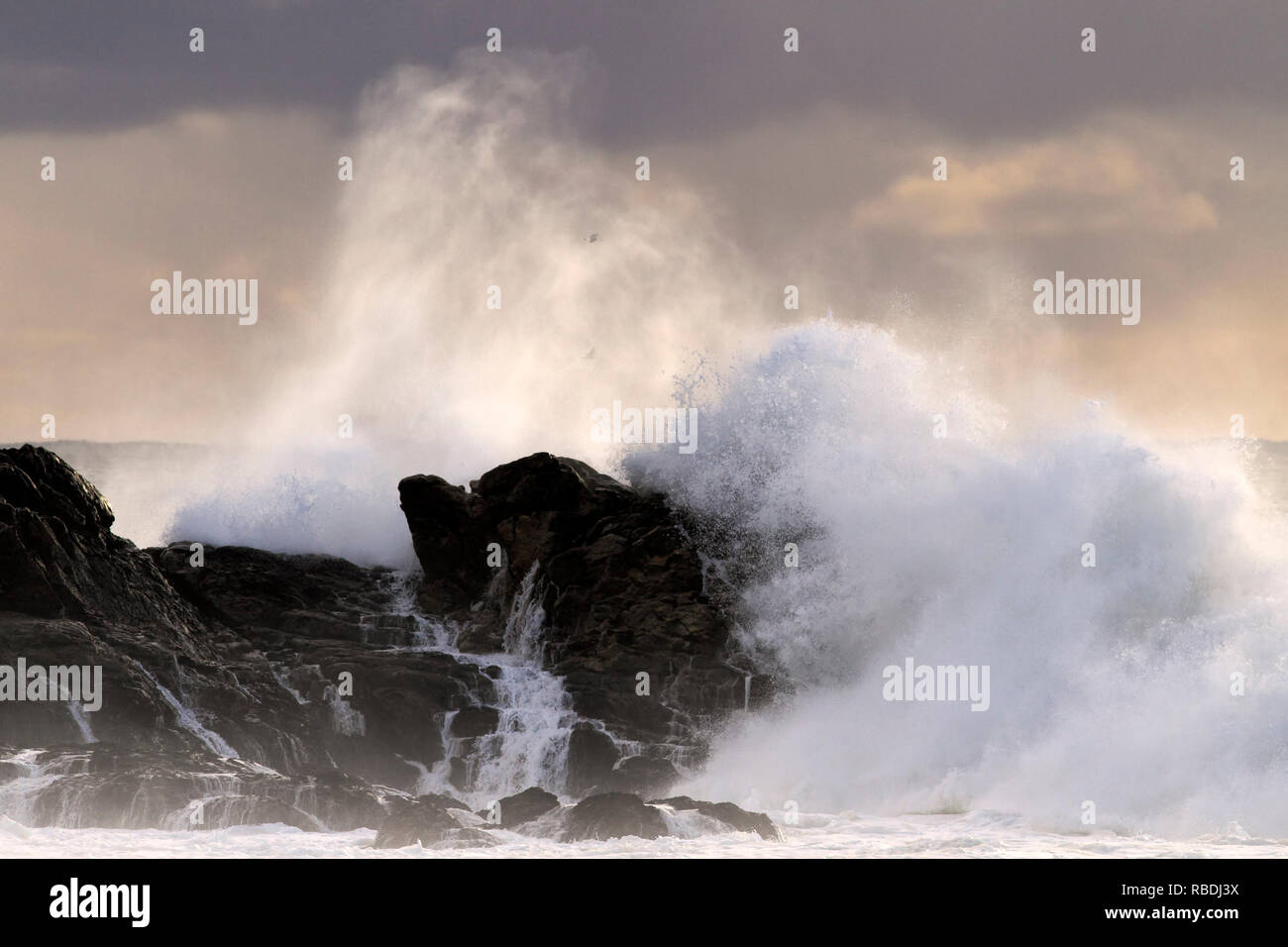 Autumn and winter sea storm at sunset light with spray and splash from ...