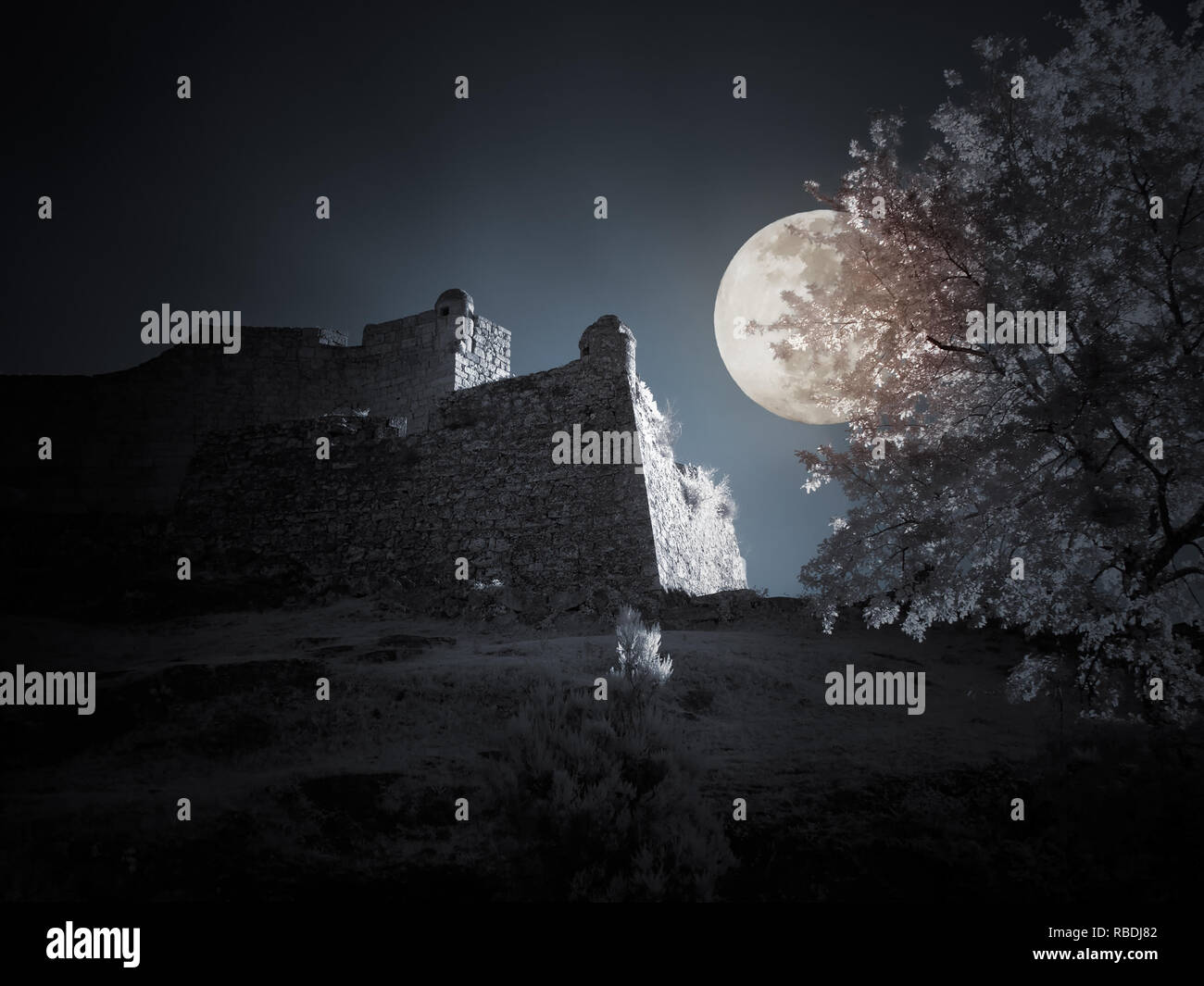 Mysterious old european medieval castle in a full moon night Stock ...