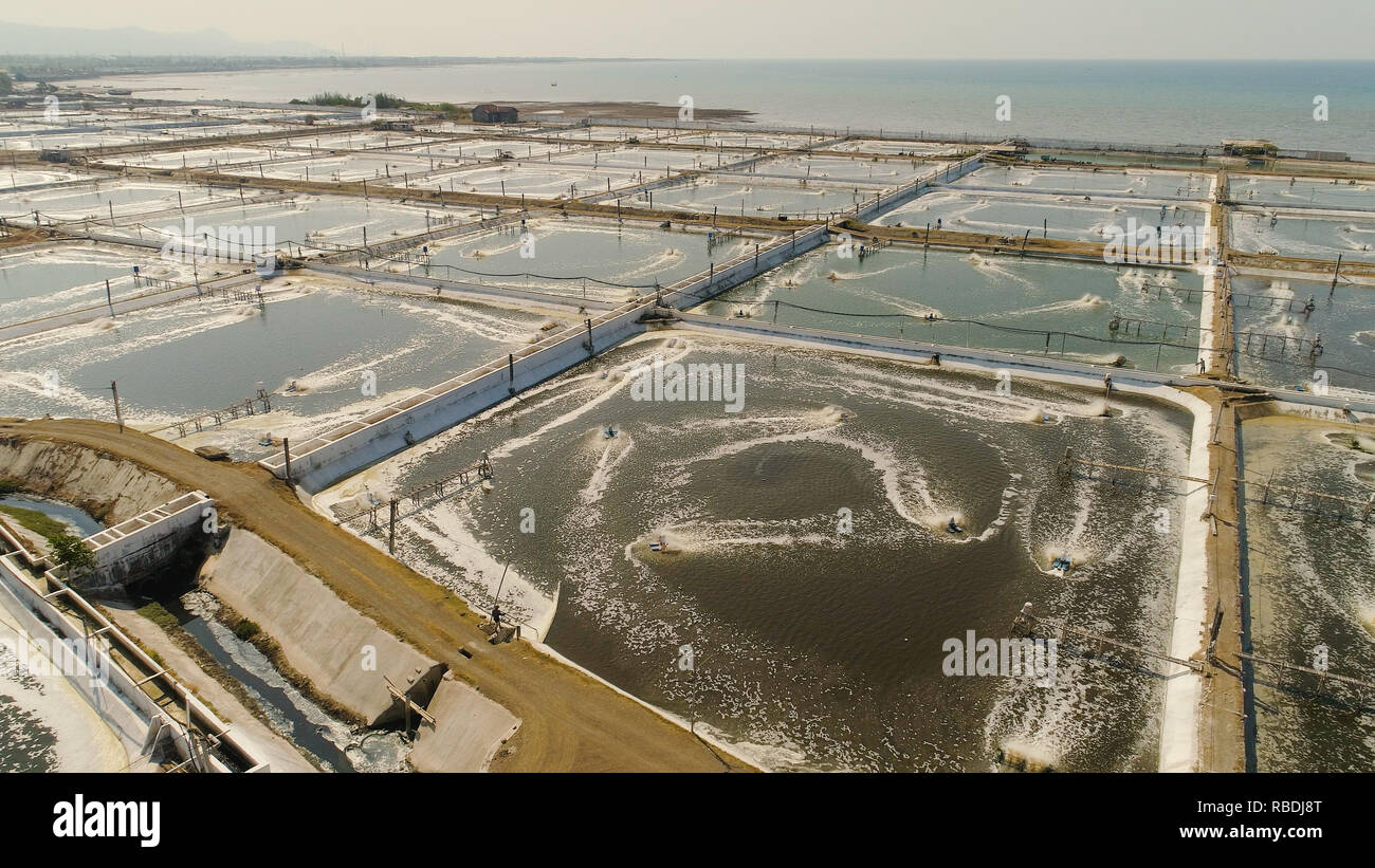 Shrimp farm hi-res stock photography and images - Alamy