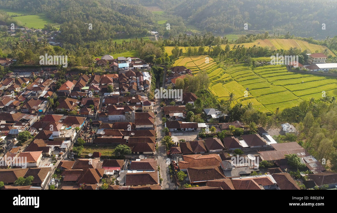 town among rice fields and terraces in Asia. aerial view farmland with ...