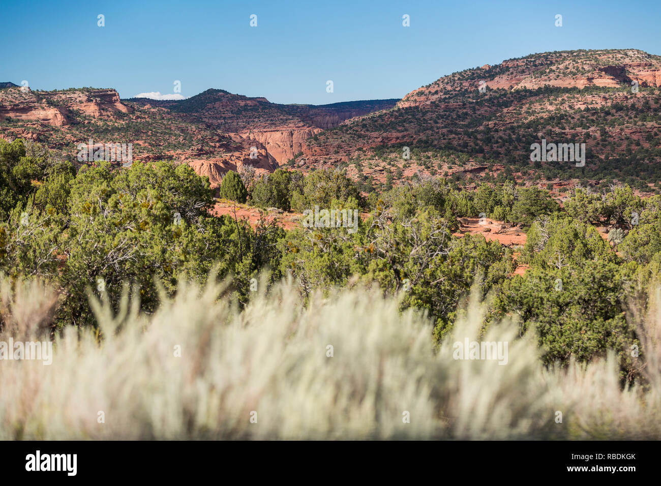 Burr desert hi-res stock photography and images - Alamy