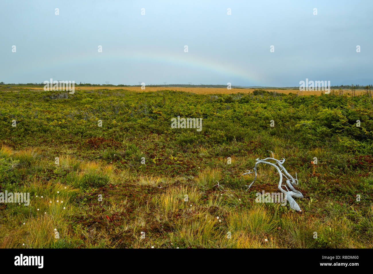 The western brook pond fjord hi-res stock photography and images - Alamy