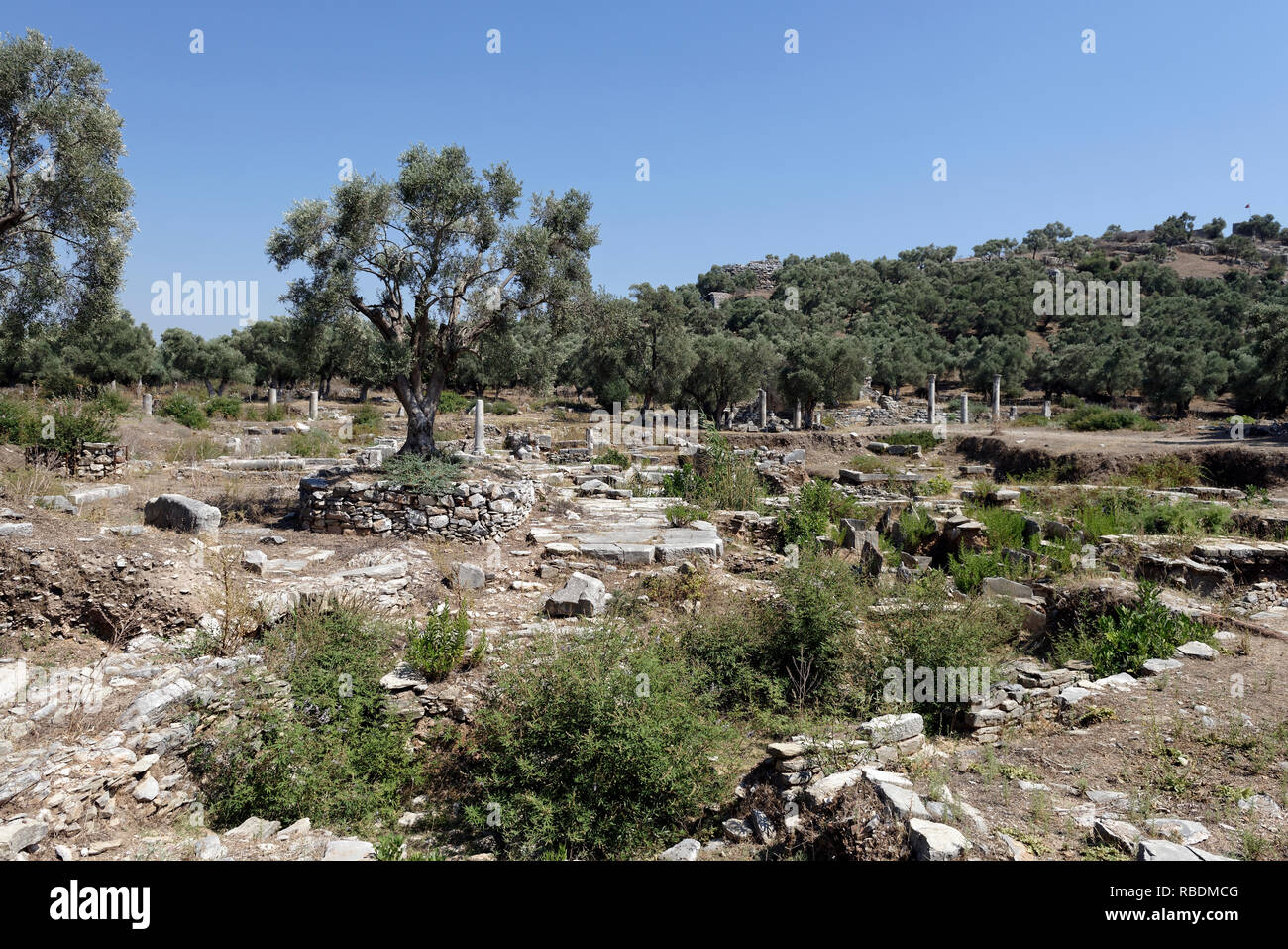 Iasos hi-res stock photography and images - Alamy