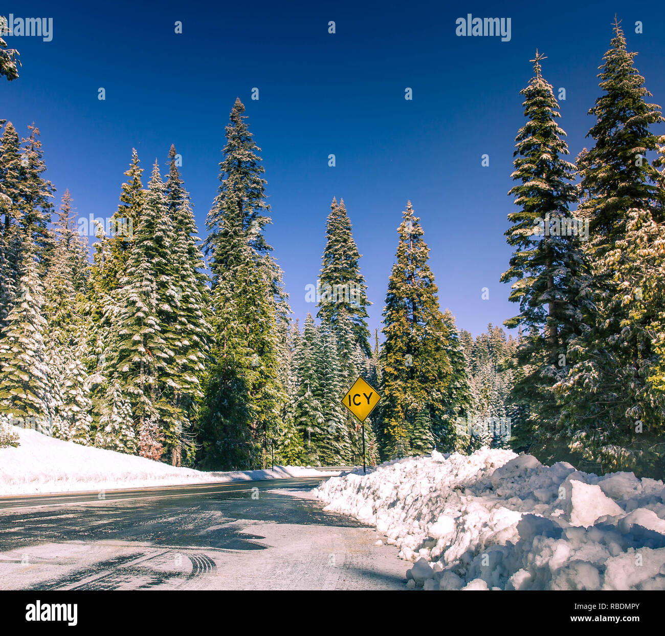 Icy country road in snowy forest in winter. Winter landscape with snowy ...