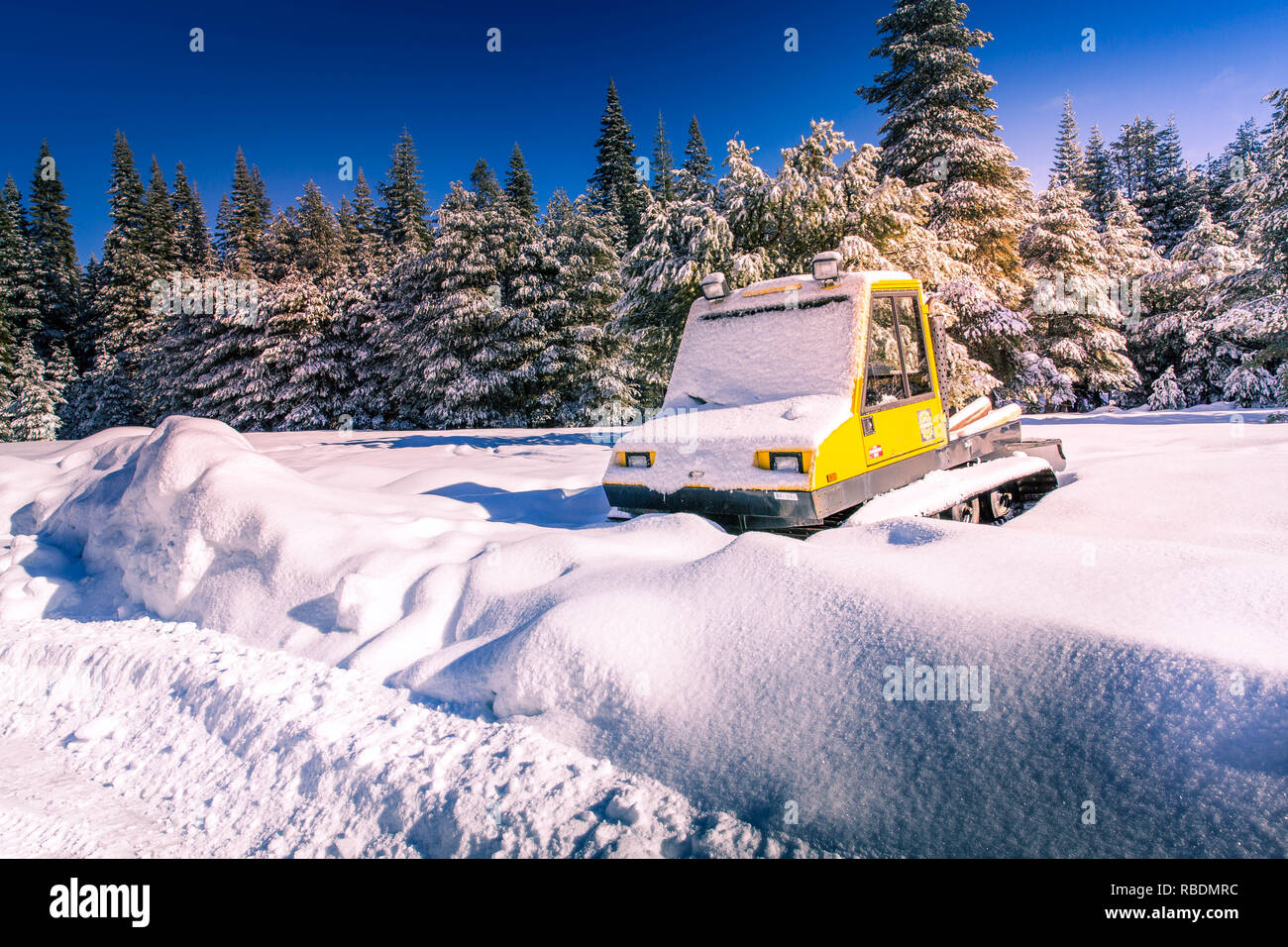 Car crawler hi-res stock photography and images - Alamy