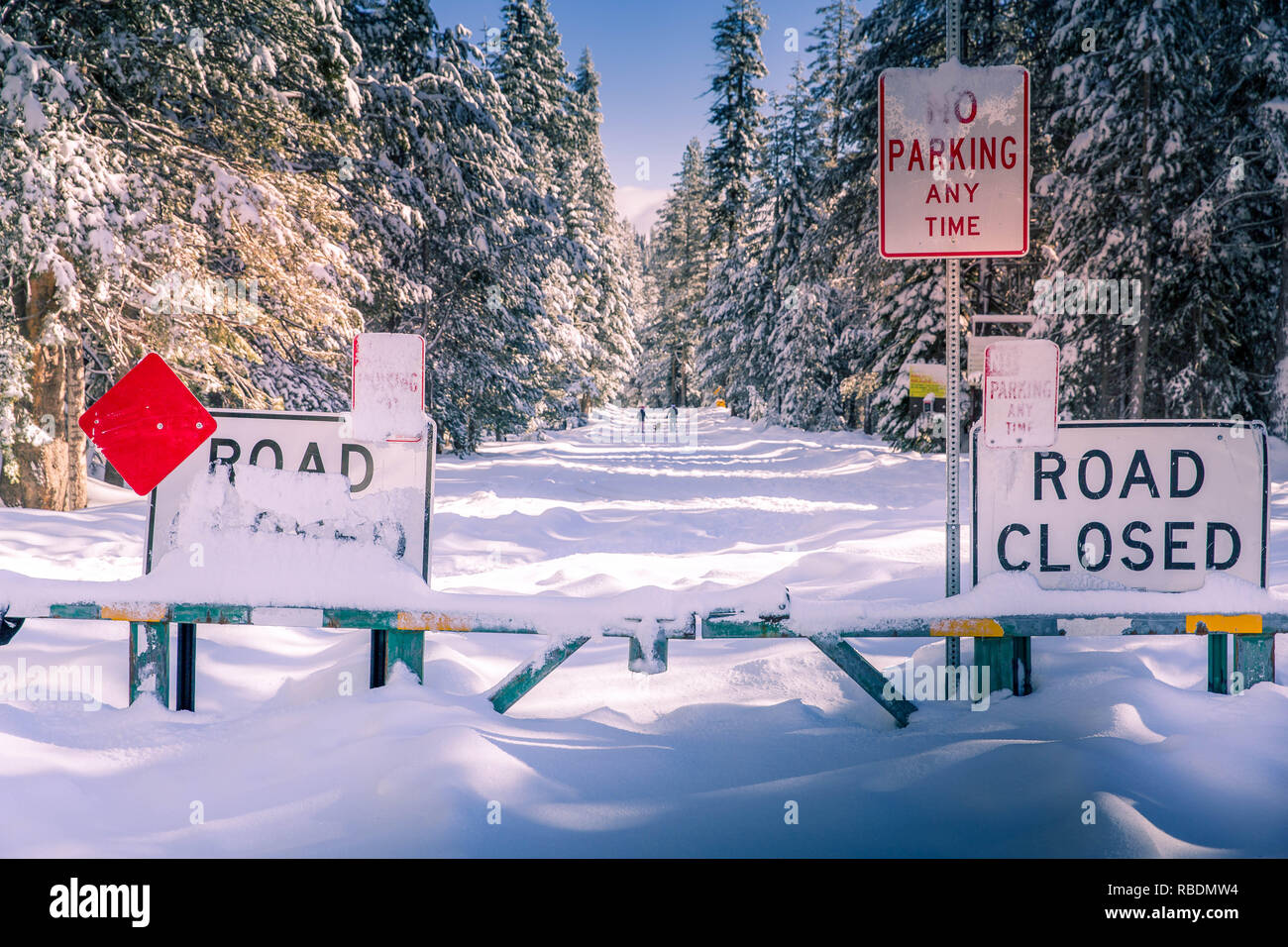Road closed sign in snowy road in a winter forest. Icy country road in ...