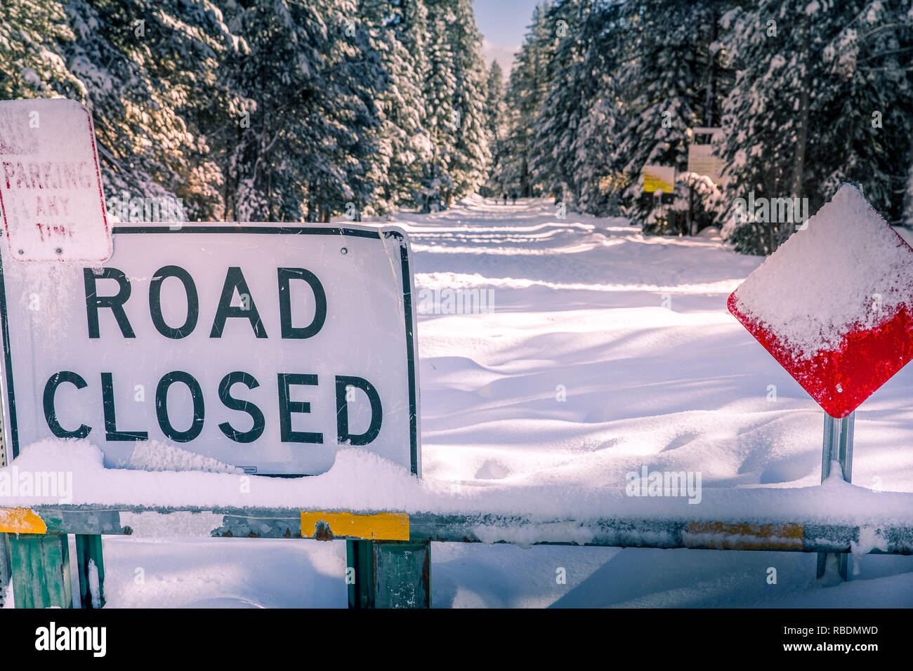 Road closed sign in snowy road in a winter forest. Icy country road in ...