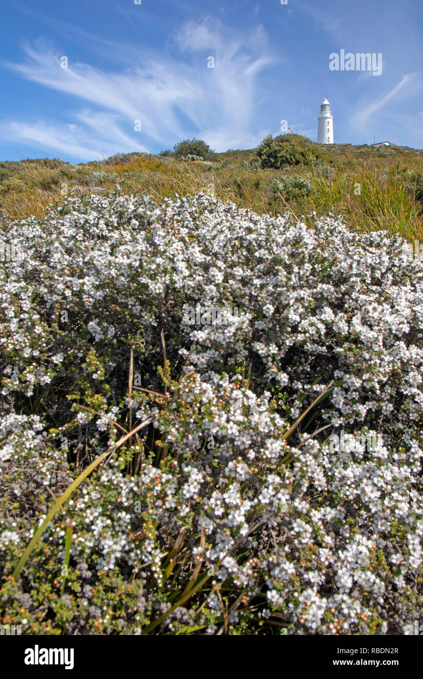 Cape Bruny Lighthouse Stock Photo - Alamy