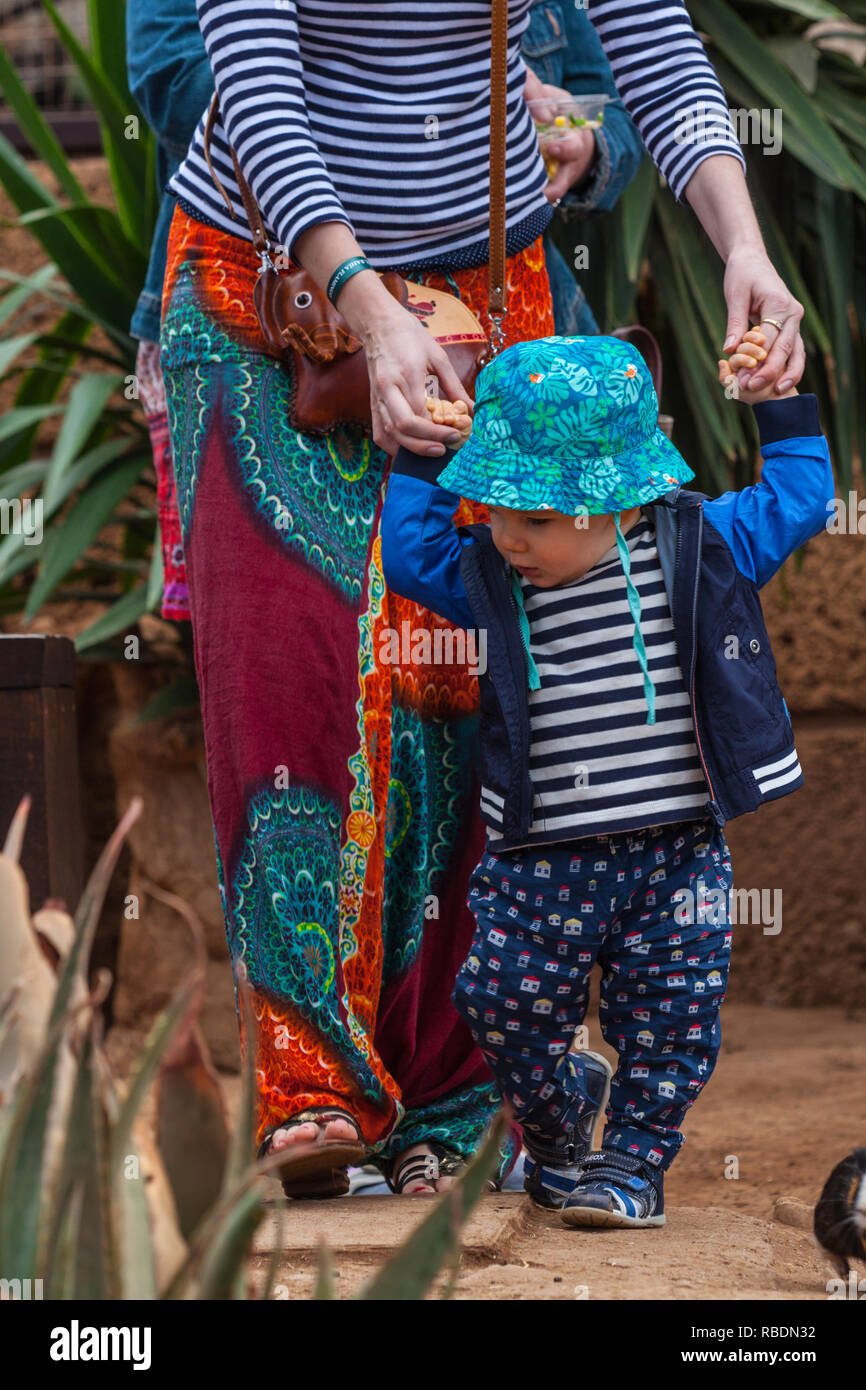 Baby boy learning to walk hi-res stock photography and images - Alamy