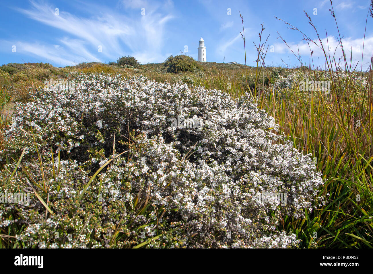 Cape Bruny Lighthouse Stock Photo - Alamy
