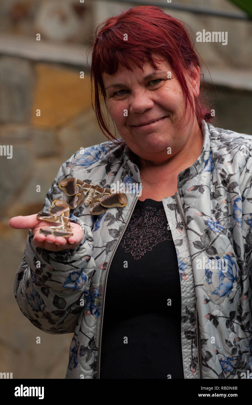 A nice photo of a woman holding a specimen of an Indian eri silkmoth ...