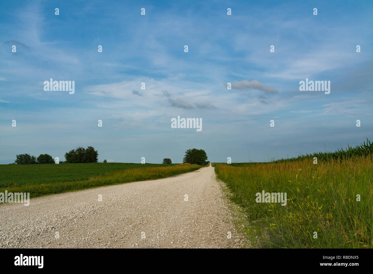 Dirt country road through rural farmland in the Midwest. LaSalle County ...