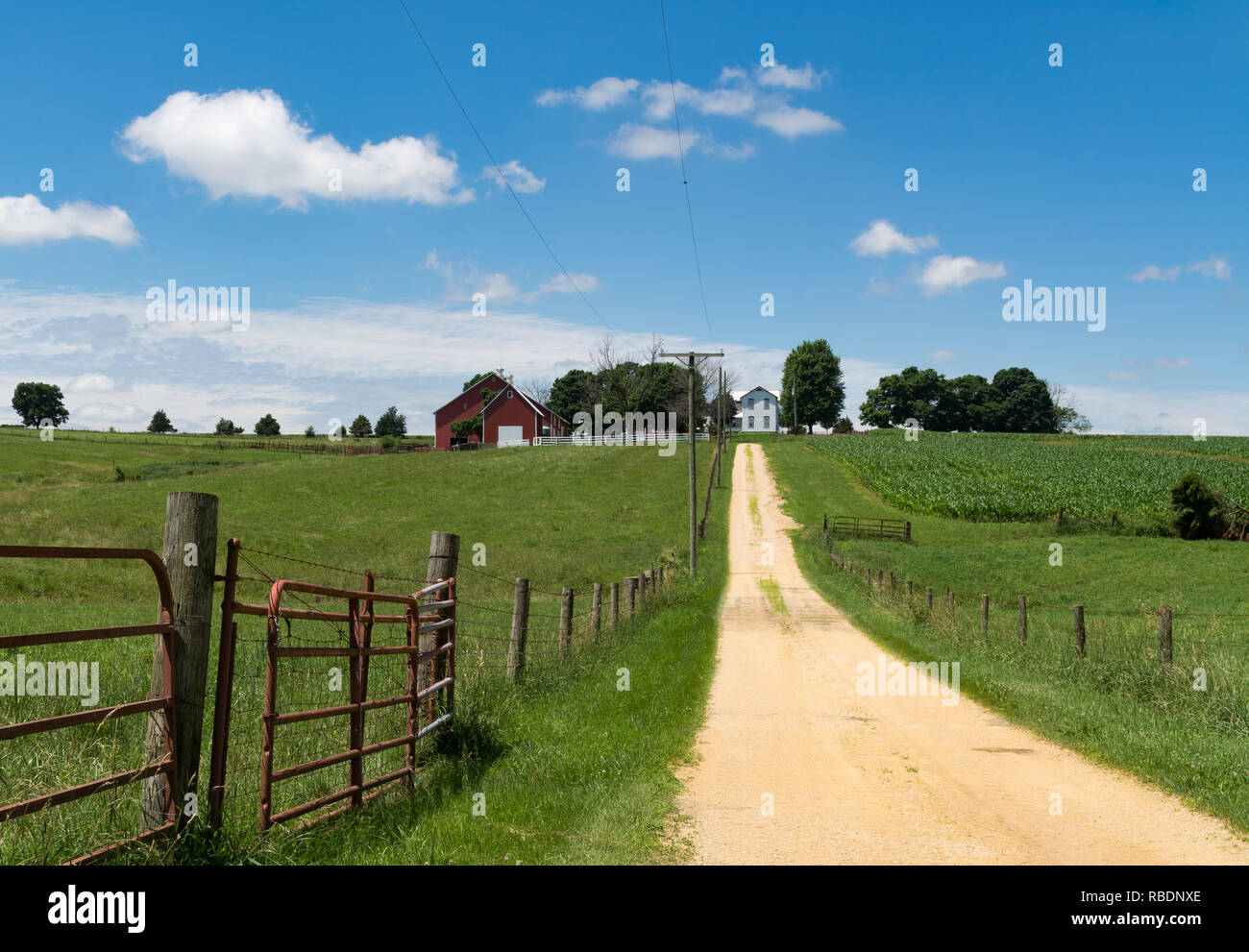 Long dirt road leading to rural farm with green pasture and barb wire ...