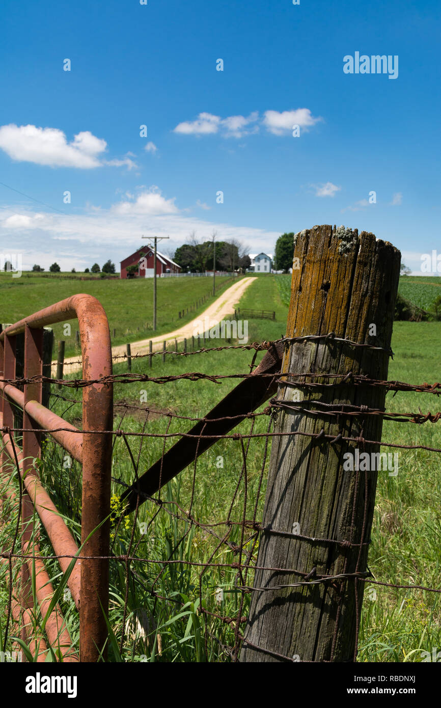 Old wooden post and rusted barb wire in rural countryside. Ogle County ...