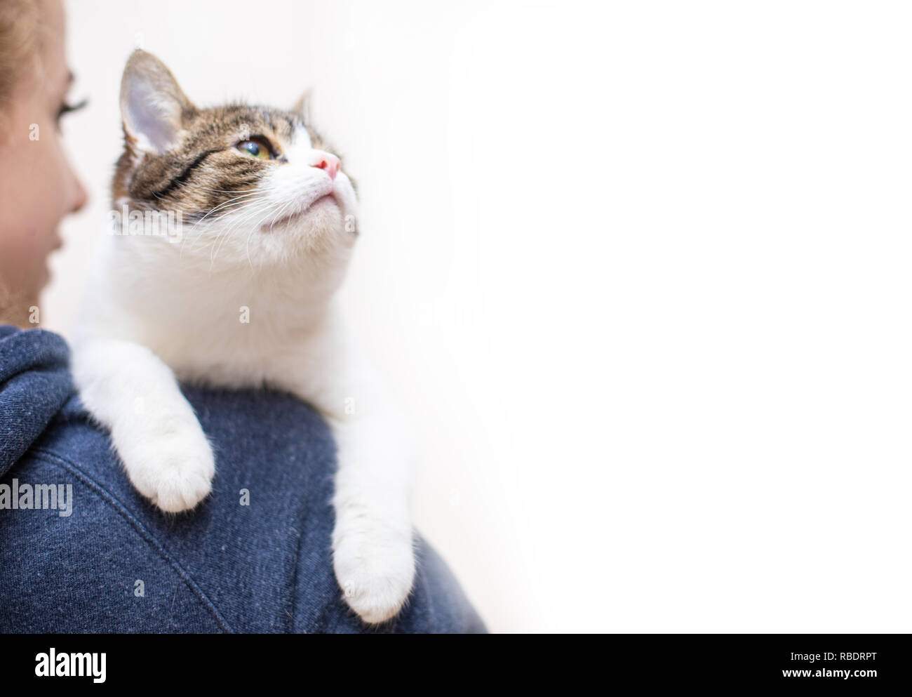 Beautiful cat sits on the shoulders Stock Photo - Alamy