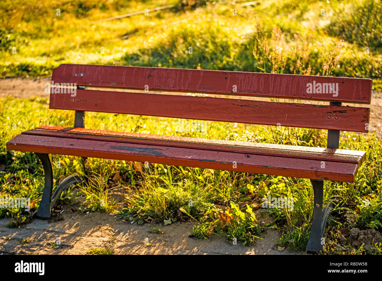 park bench in autumnal sun Stock Photo - Alamy
