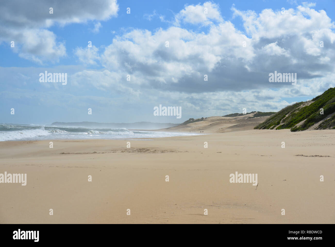 Port Elizabeth Beach Stock Photo - Alamy