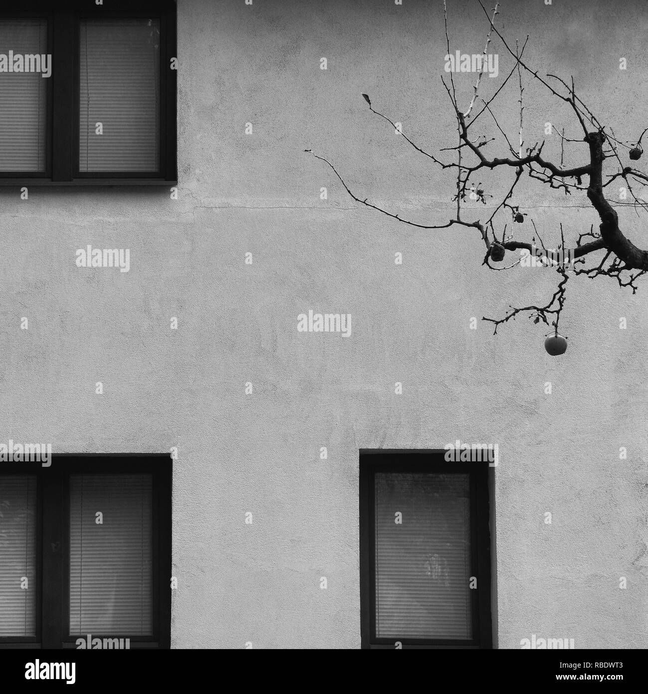 Still life abstract background Stock Photo - Alamy