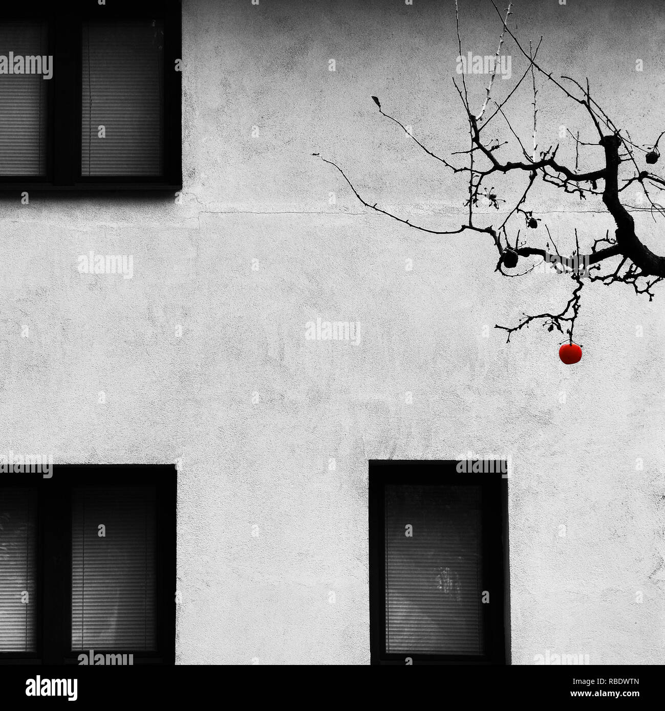 Still life abstract background Stock Photo - Alamy