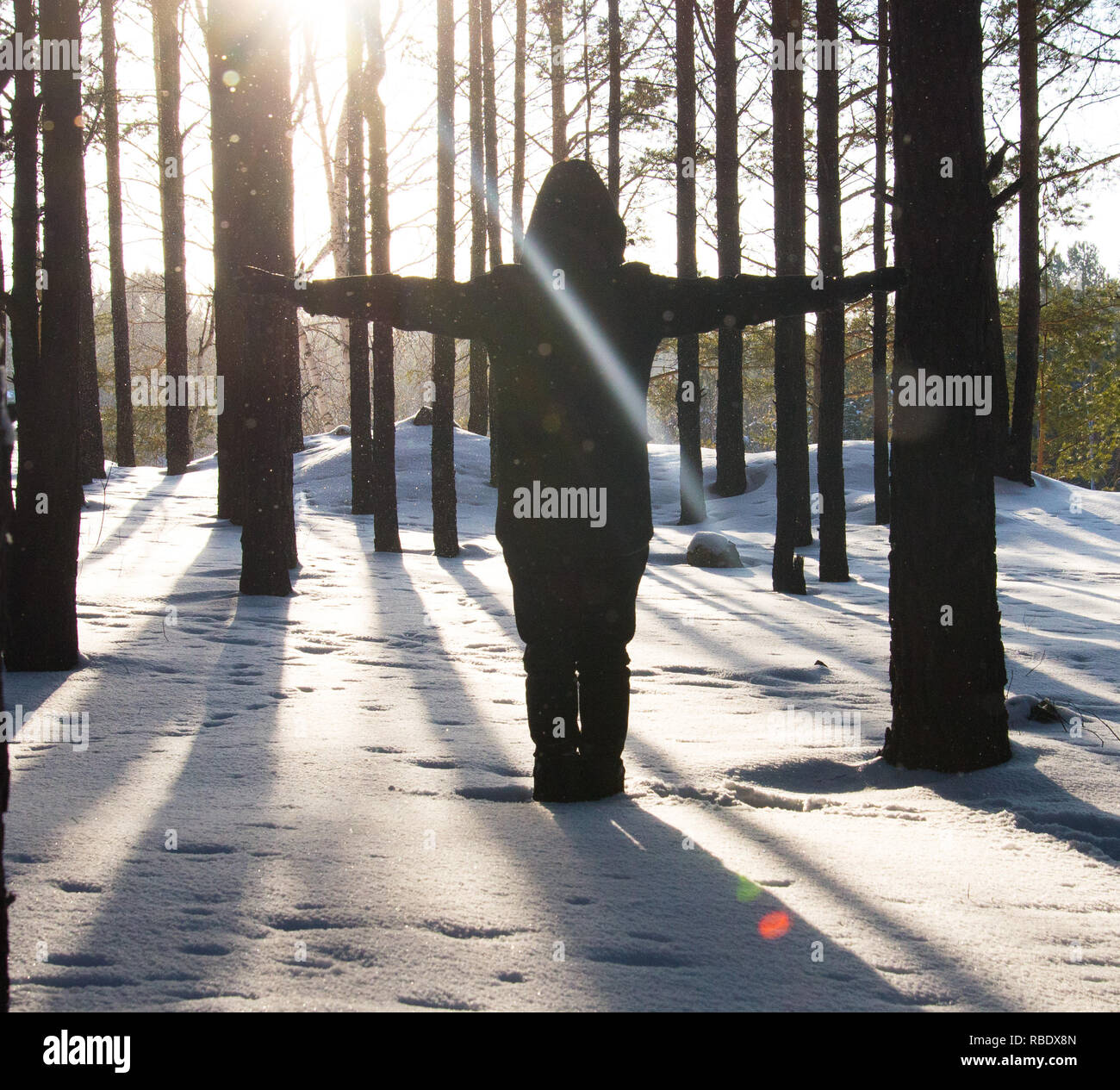 human silhouette in the winter forest among the trees in the snow Stock ...