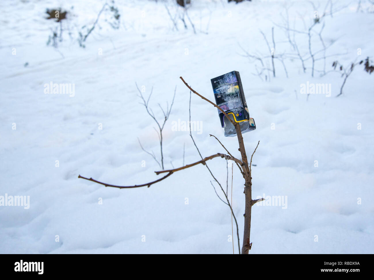 RUSSIA, URAL - DECEMBER 2018, an empty box with cigarettes lies in the ...