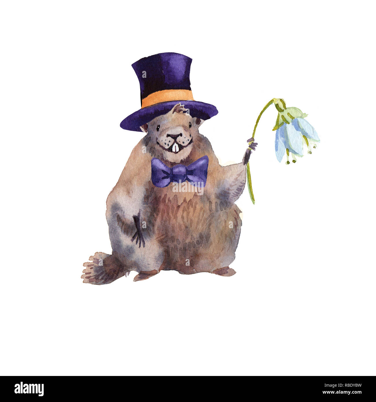 Happy Groundhog Day - hand drawn watercolor illustration character card ...