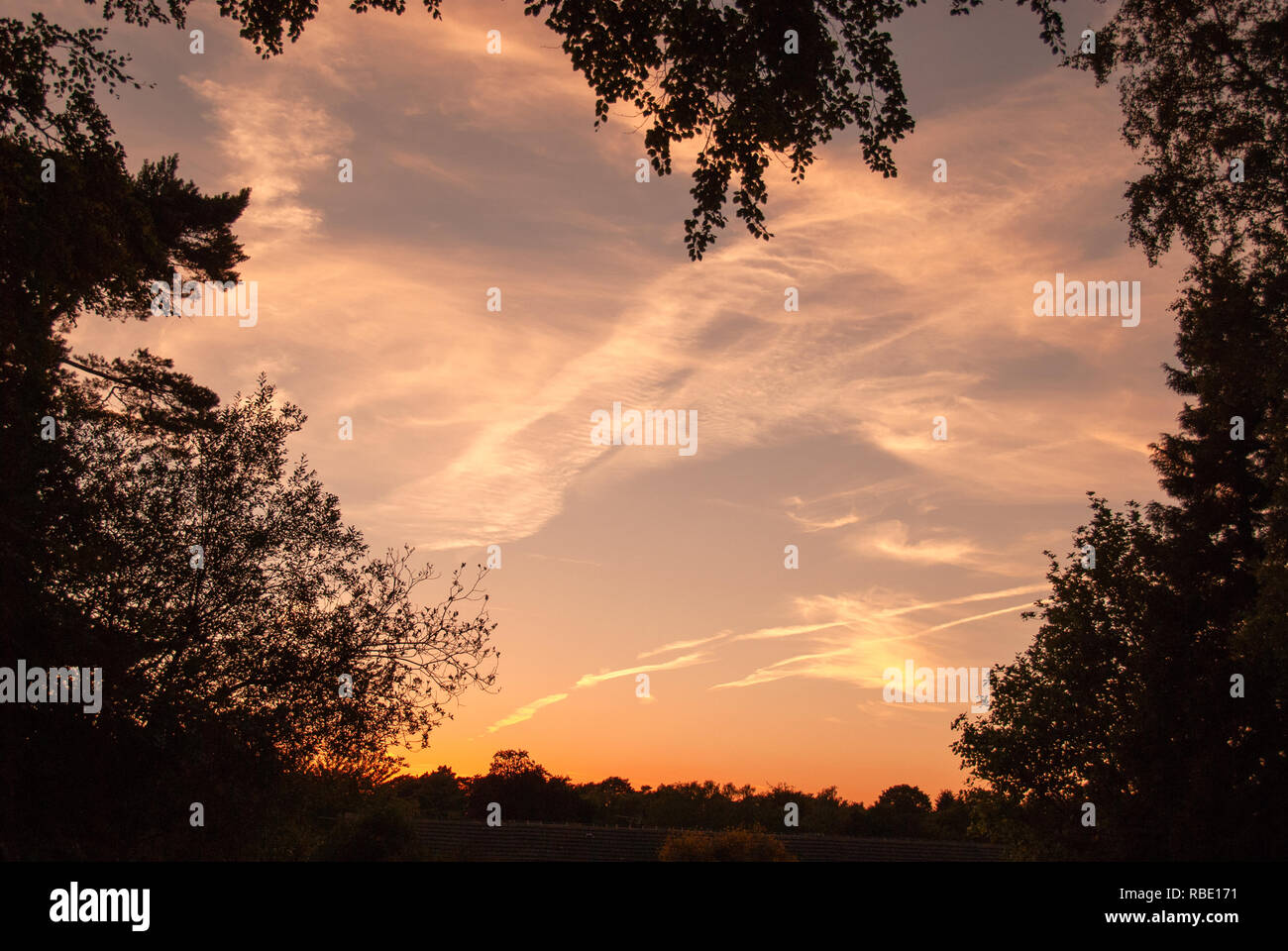 Evening sunsetting sky framed by tree branches Stock Photo - Alamy