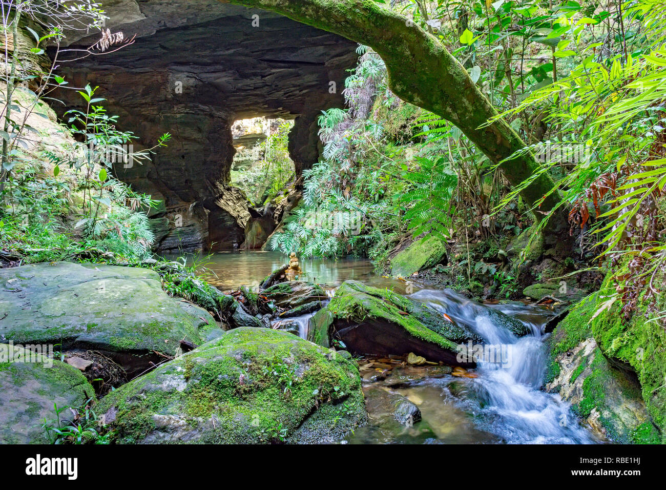 Cave interior with small river and lake surrounded by vegetation of ...