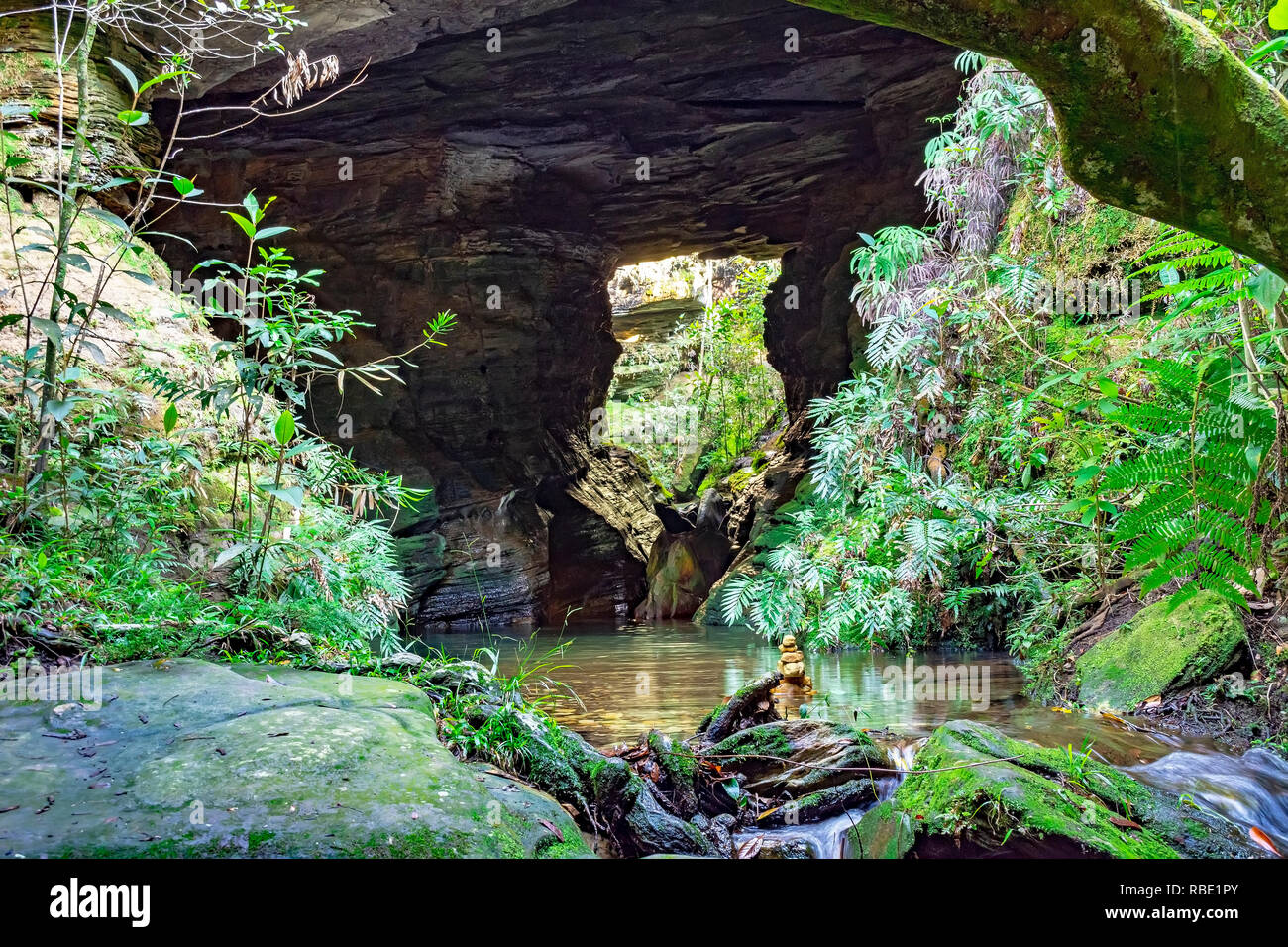Cave interior with small river and lake surrounded by vegetation of ...