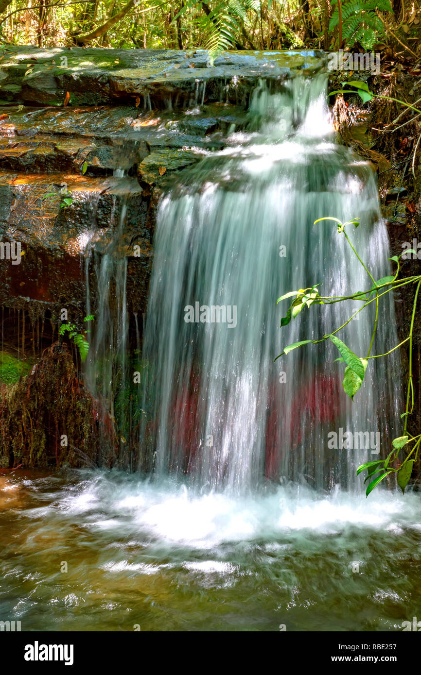 Small cascade in the interior of the forest illuminated by spindles of ...