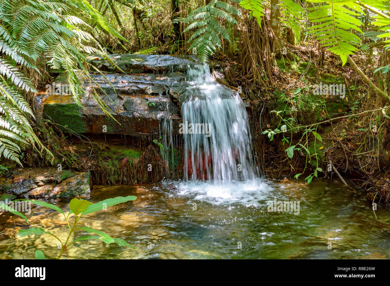 Eco spindles hi-res stock photography and images - Alamy