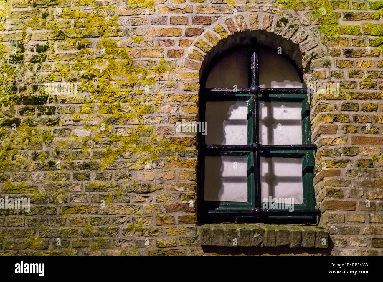 Moss window frames hi-res stock photography and images - Alamy