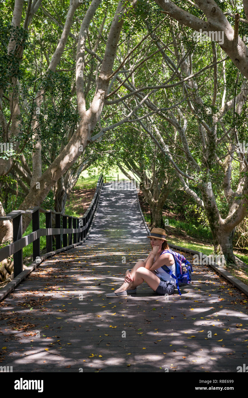 Forest board walk bush wooden walking track Stock Photo - Alamy