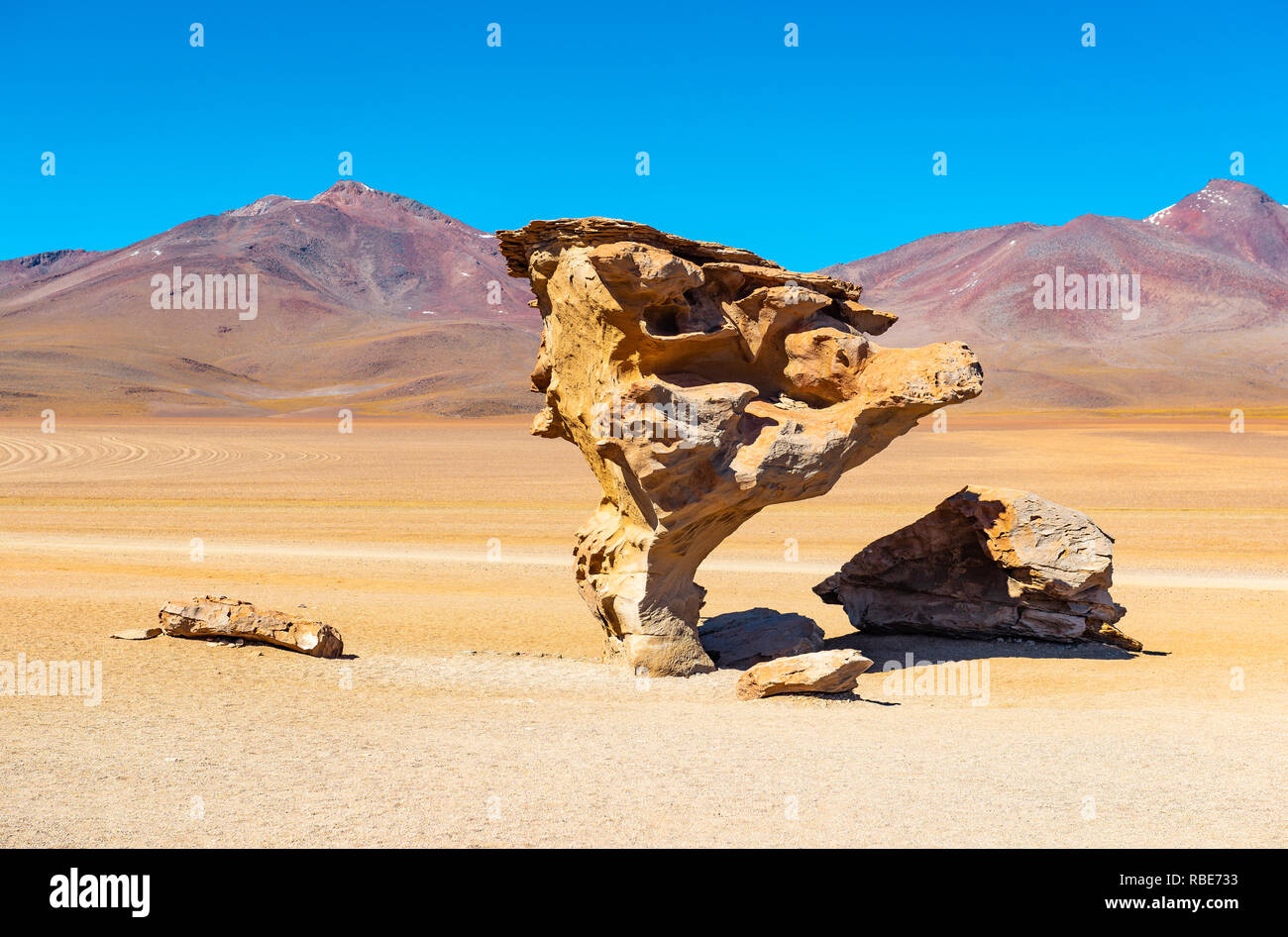 Arbol de nazca hi-res stock photography and images - Alamy
