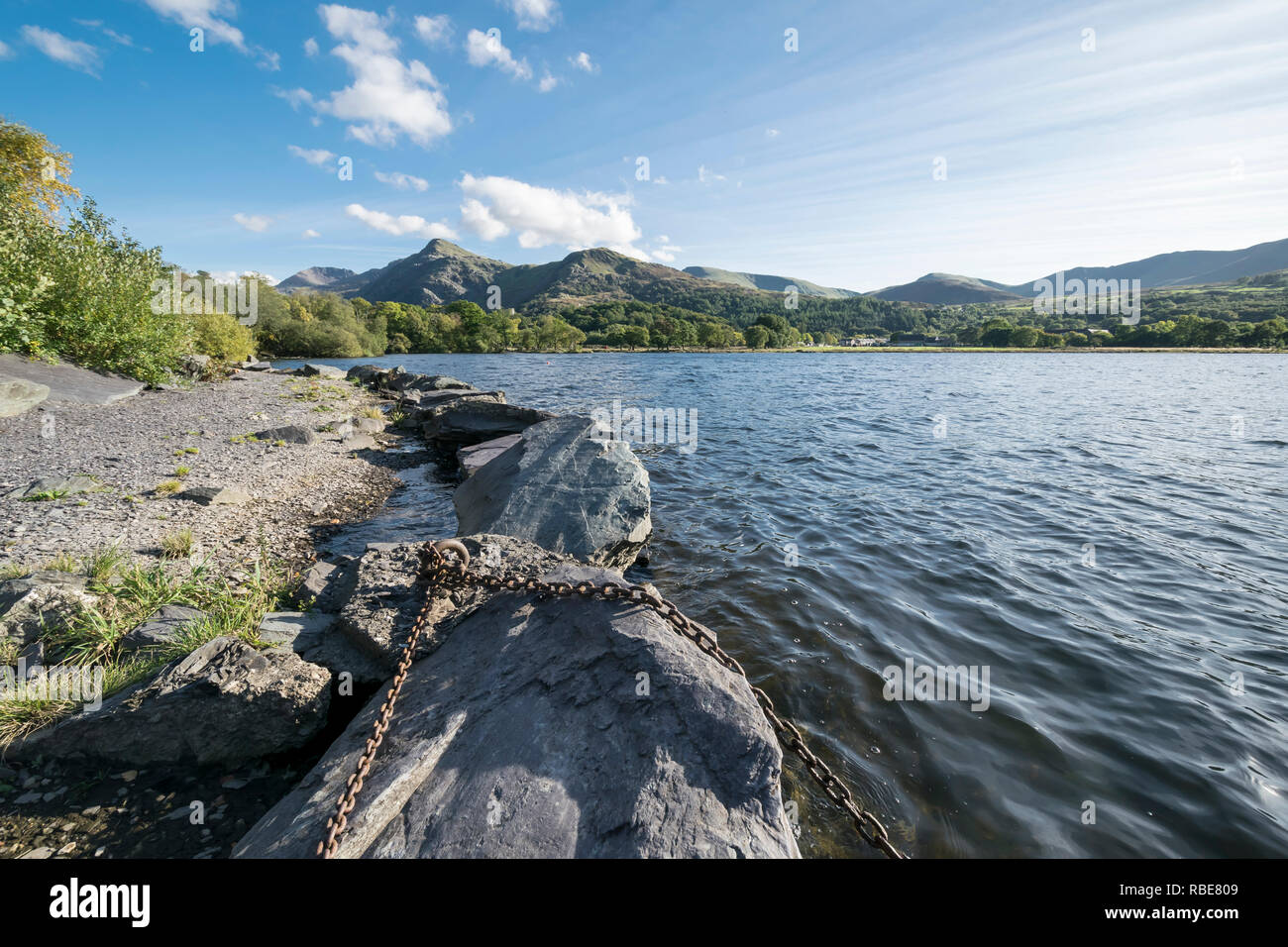 Llyn parc hi-res stock photography and images - Alamy