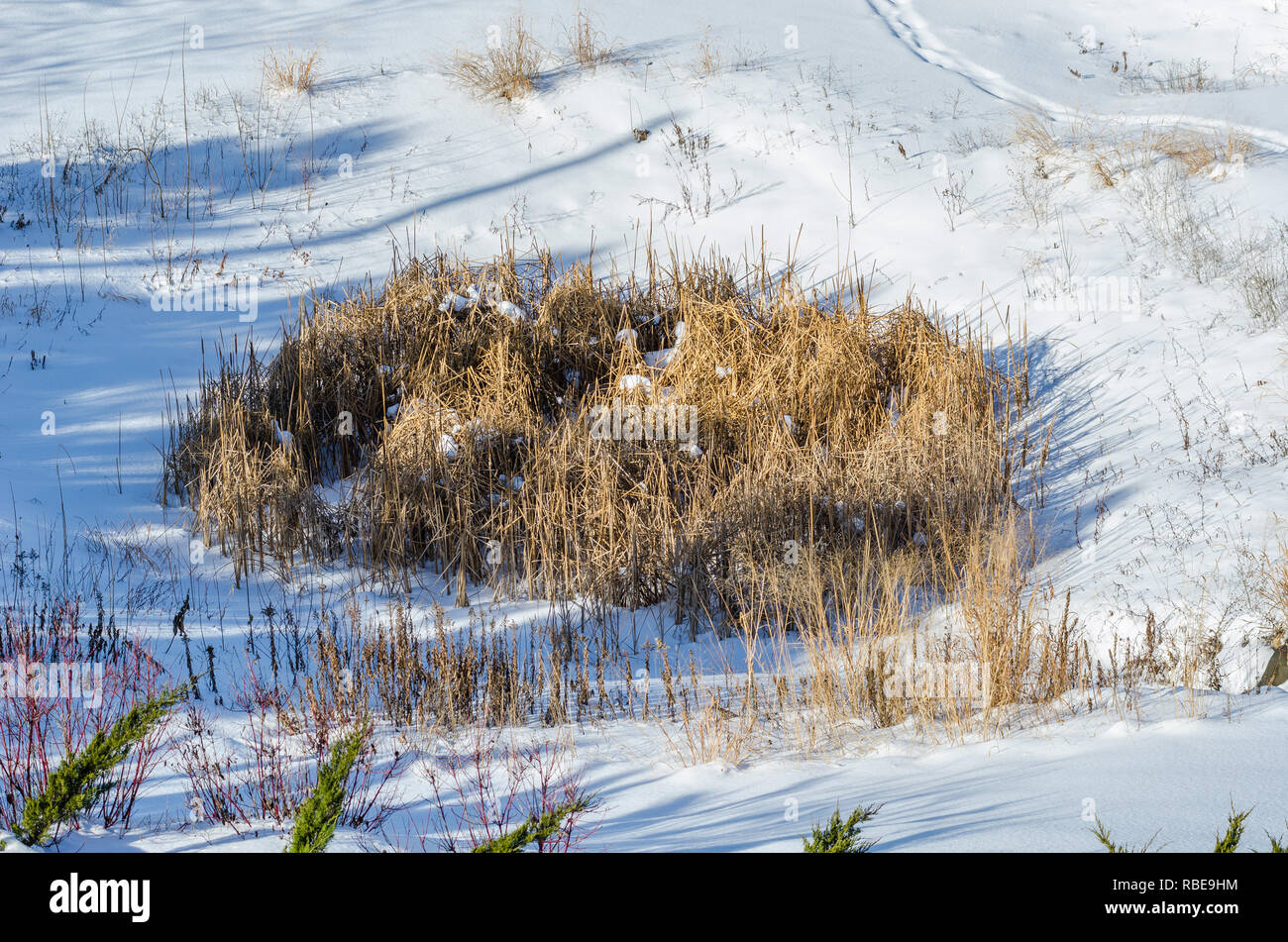 Minnesota aerial view hi-res stock photography and images - Alamy