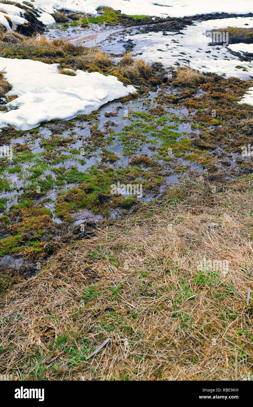 Spots of snow hi-res stock photography and images - Alamy