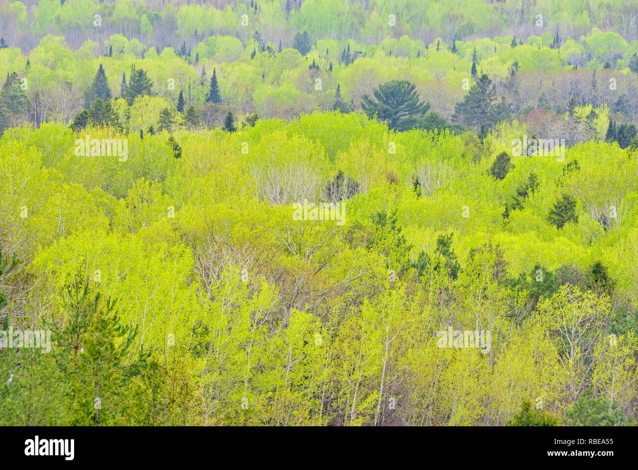 Manitoulin island first nation hi-res stock photography and images - Alamy