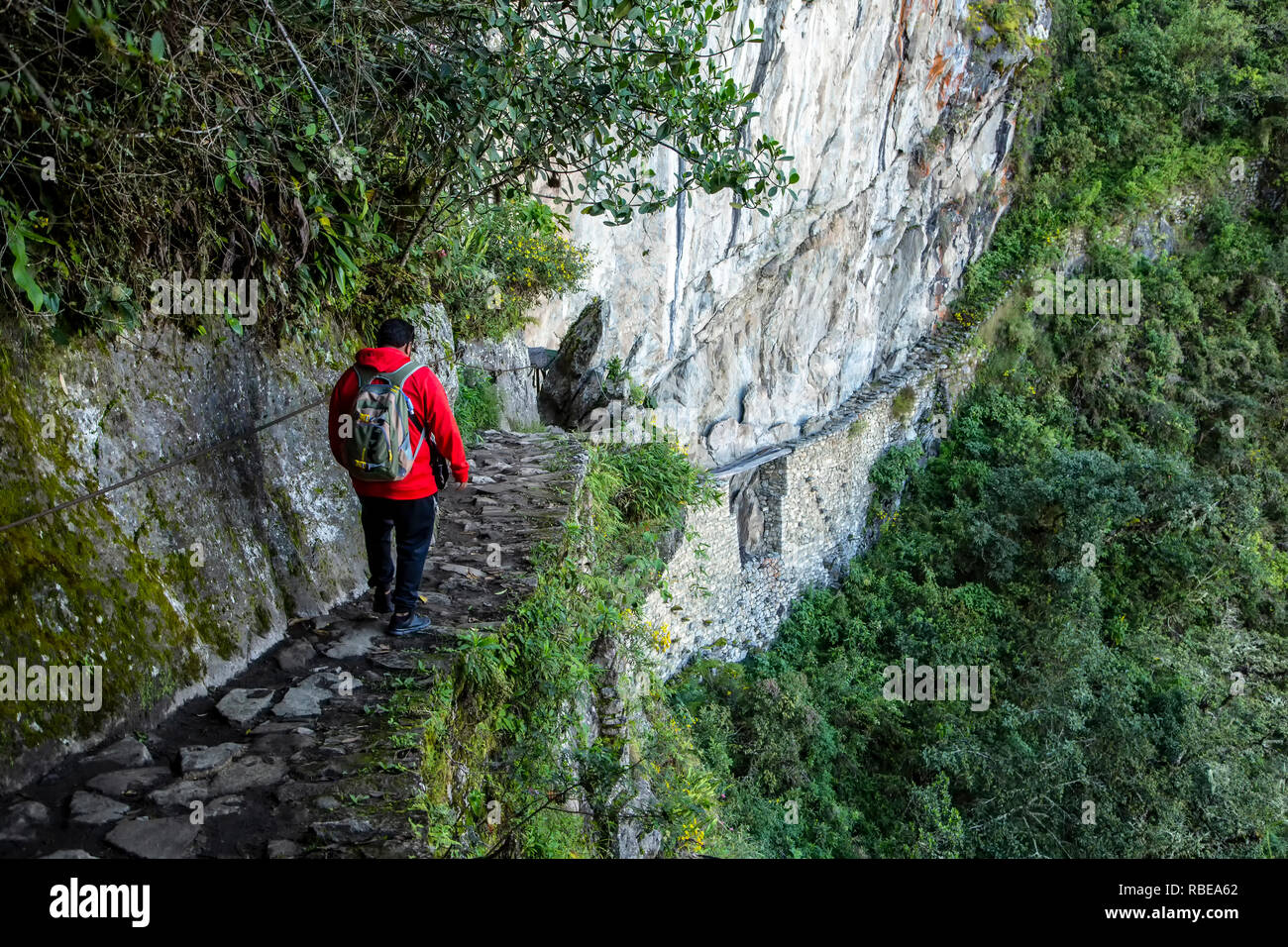 Hiker and trail leading to Inca Bridge, Machu Picchu, Cusco, Peru Stock ...