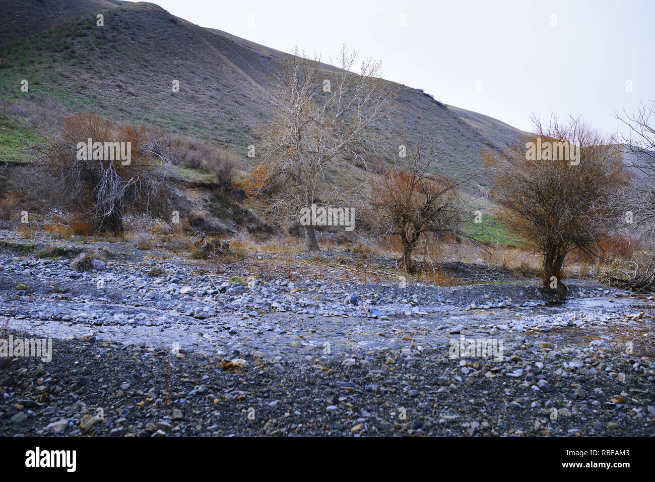 Plant trees in the wasteland hi-res stock photography and images - Alamy