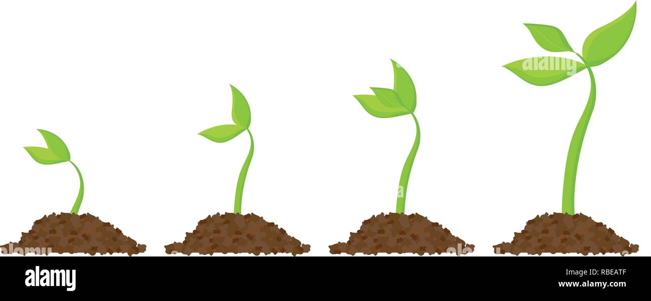Simple sprouting seed drawing. Sprout, plant, tree growing agriculture ... Simple sprouting seed drawing. Sprout, plant, tree growing agriculture ...