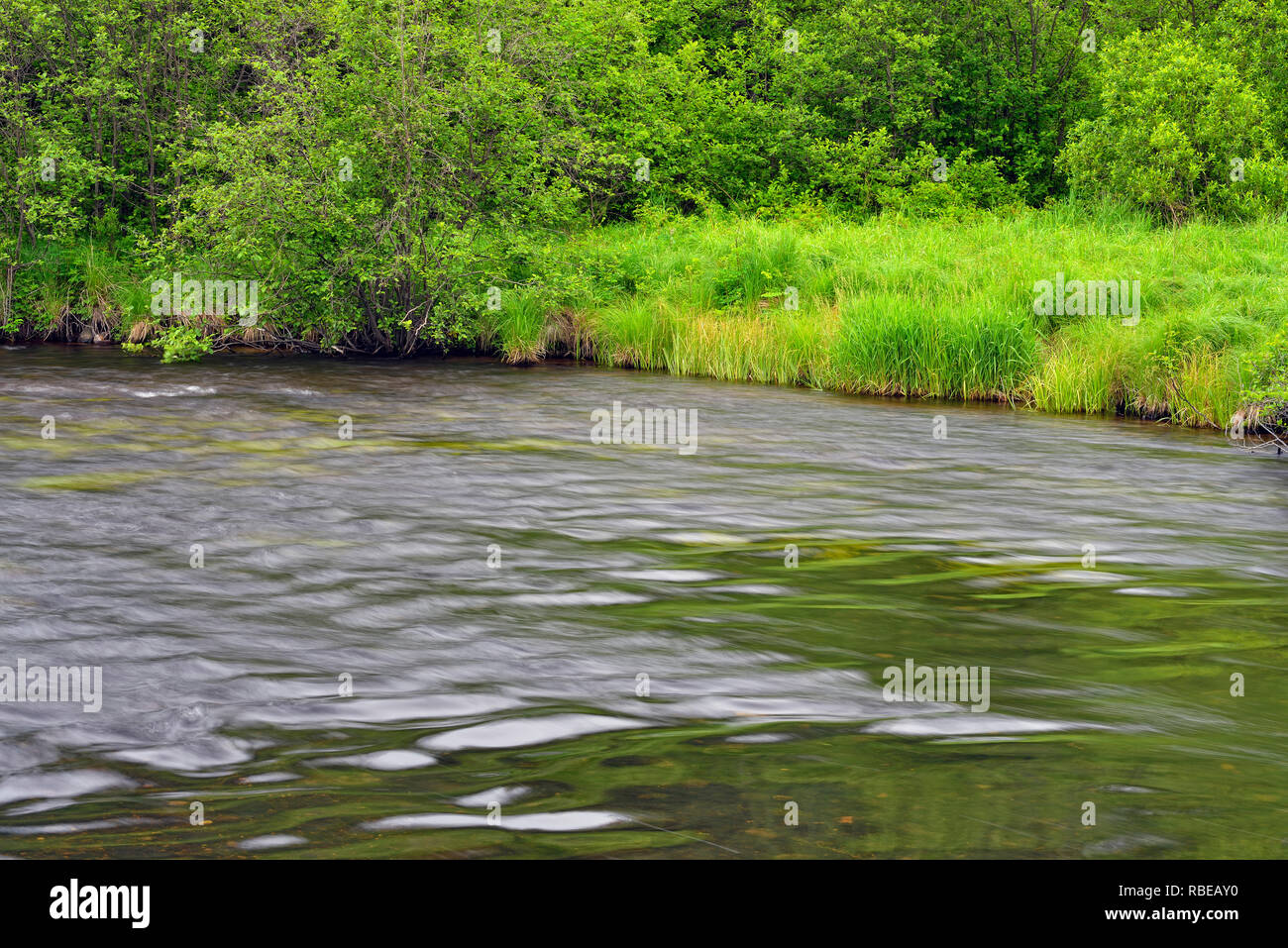 Namekagon river shoreline hi-res stock photography and images - Alamy