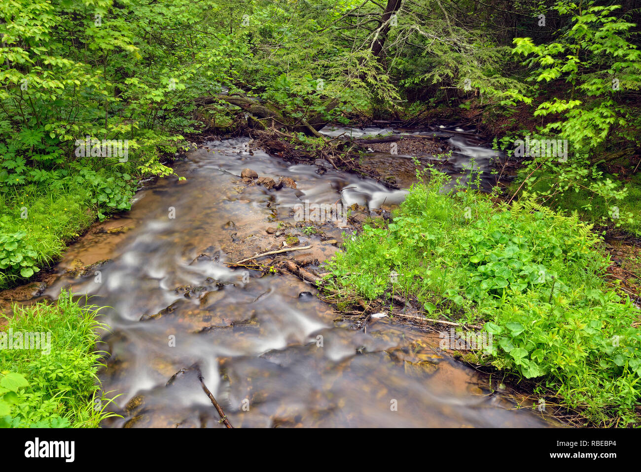 Wagner falls hi-res stock photography and images - Alamy