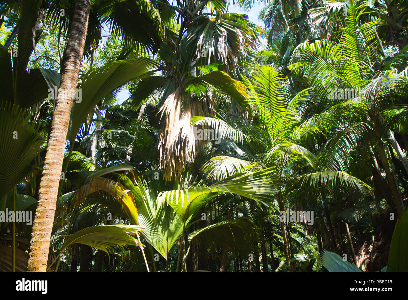 Male buttocks hi-res stock photography and images - Alamy