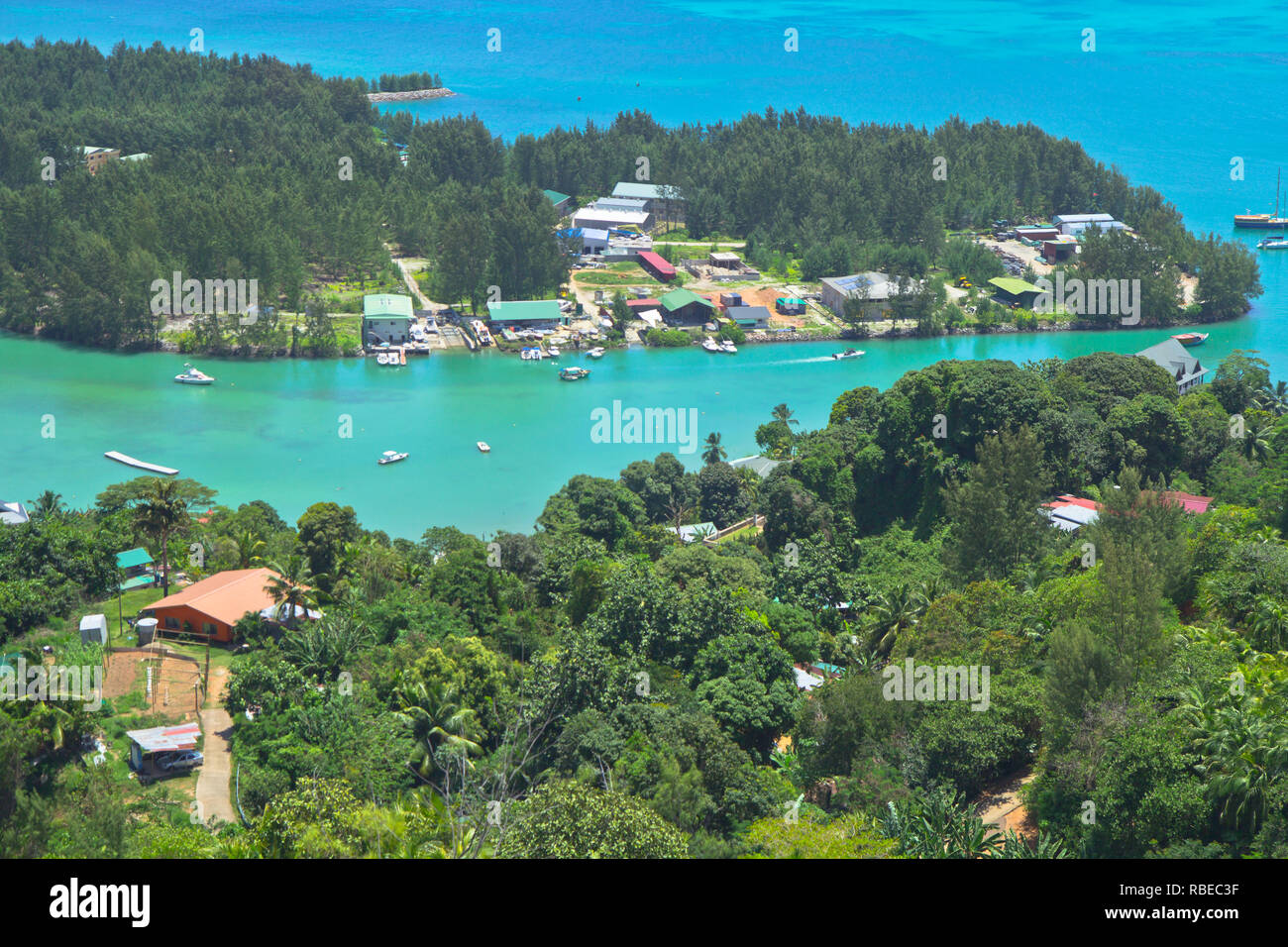 Seychelles nut hi-res stock photography and images - Alamy