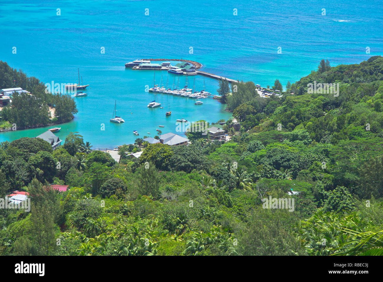 Seychelles nut hi-res stock photography and images - Alamy